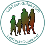 Understanding the Comprehensive Metabolic Panel (CMP): Components and ...