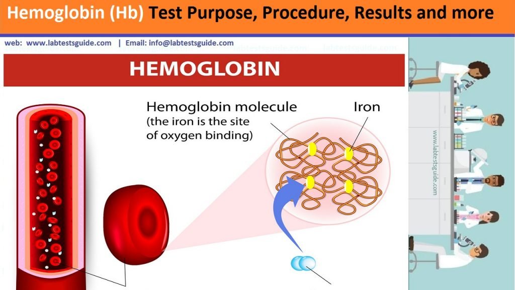 Haematology | Lab Tests Guide