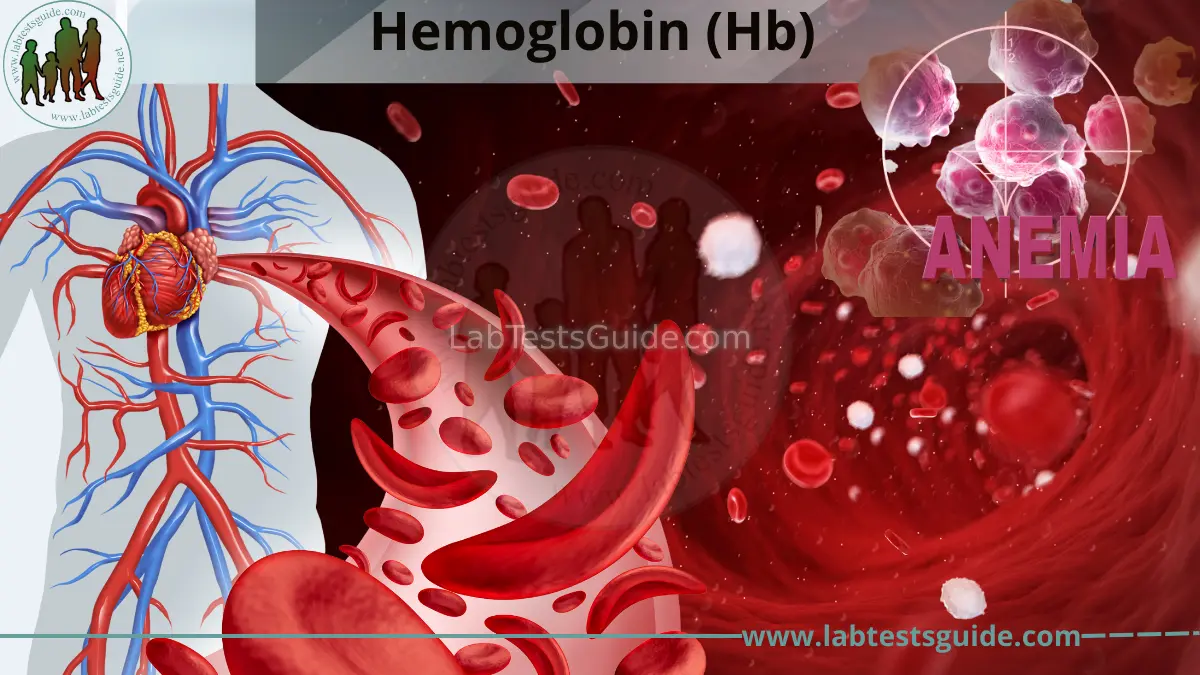 Hemoglobin Function Test Purpose, Procedure, and Results, and Normal Values