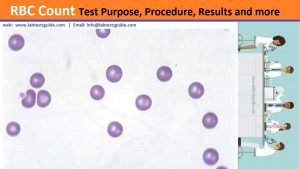 Red Blood Cells Test Purpose, Procedure, Results and more | Lab Tests Guide