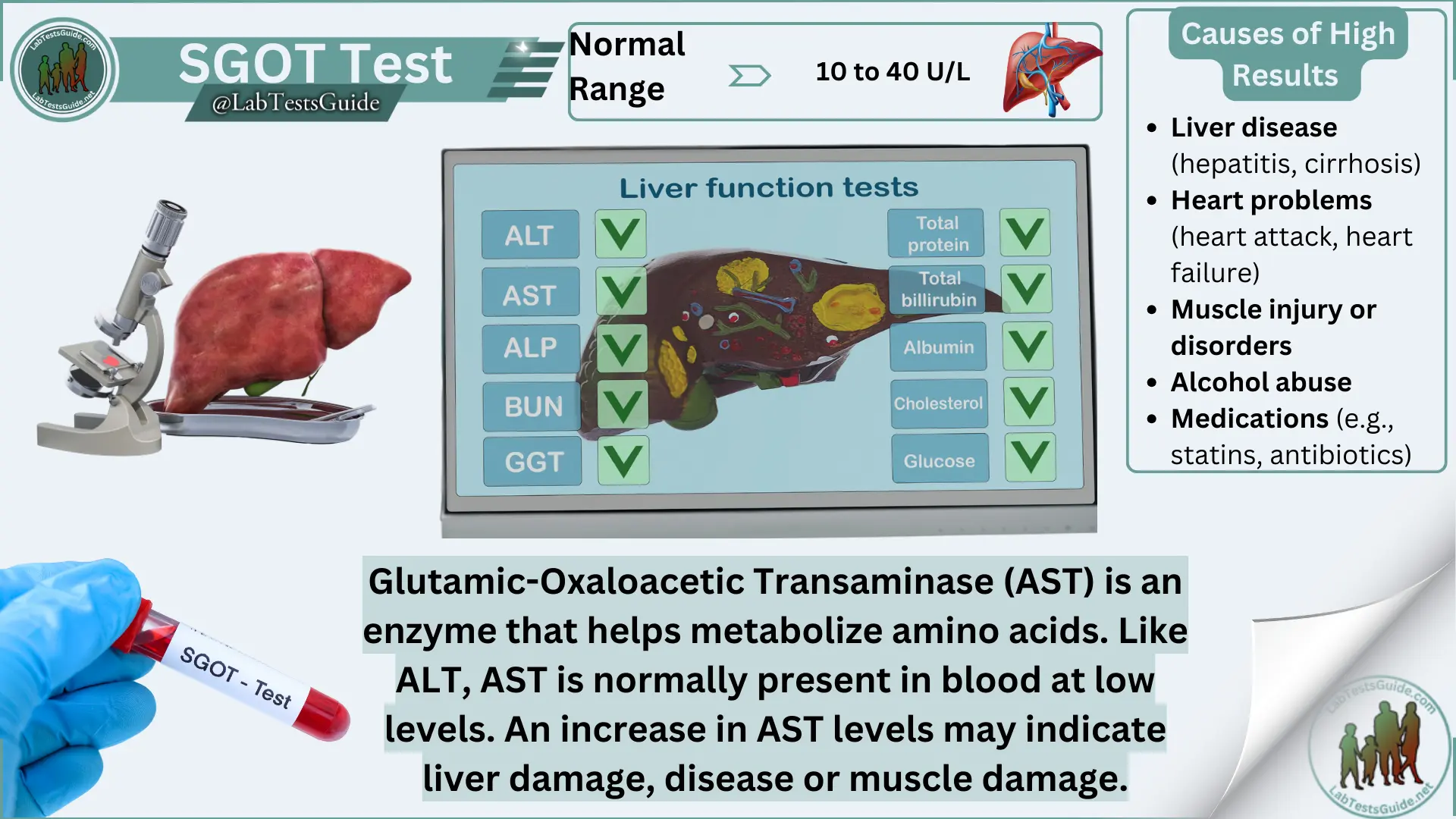 Serum Glutamic-Oxaloacetic Transaminase (SGOT) Test Guidelines | Lab ...