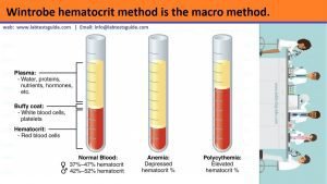 HCT Test Procedure | Lab Tests Guide