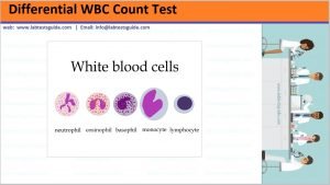Differential Leukocyte Count (DLC) | Lab Tests Guide