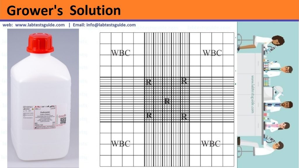 Hayem's Solution Composition, Uses, And More | Lab Tests Guide