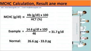 MCHC Test Result, Calculation and more - Lab Tests Guide