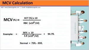 MCV Test Purpose, Calculation and more | Lab Tests Guide
