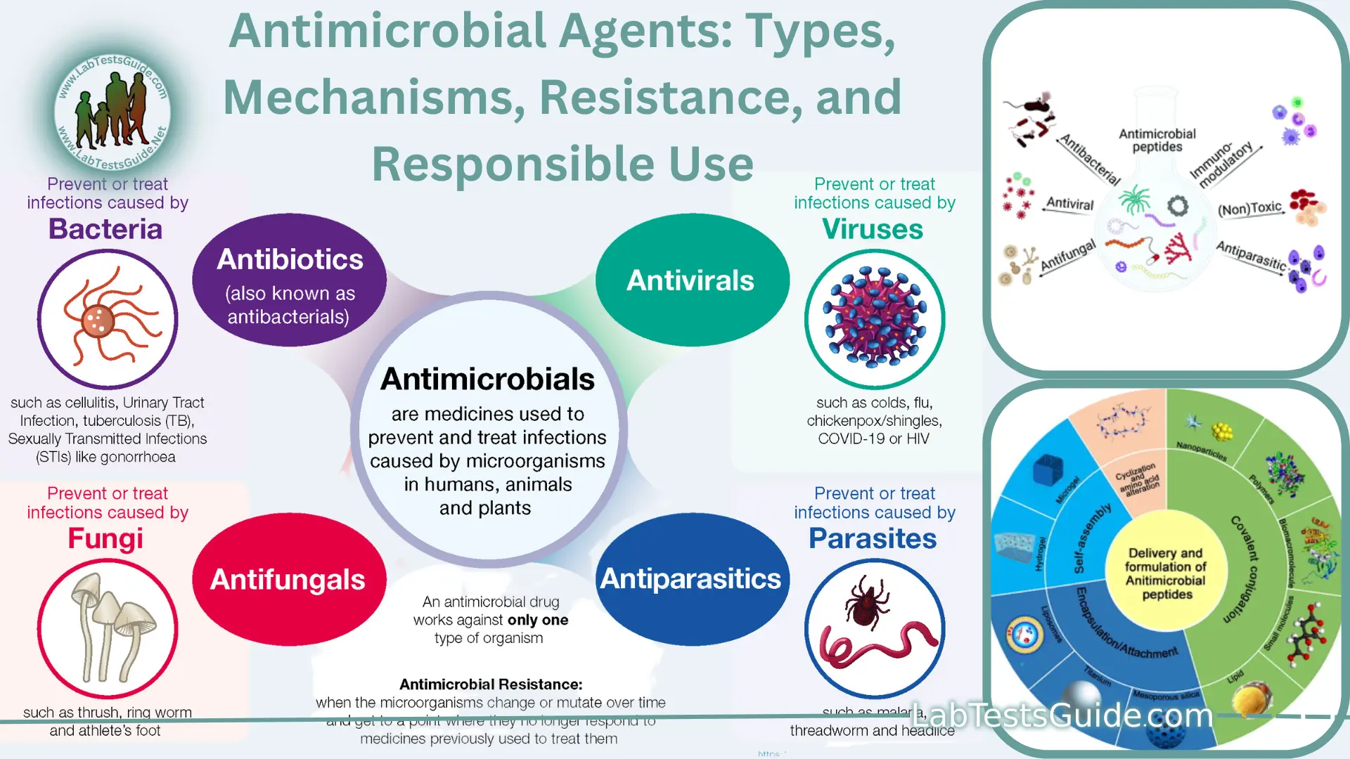 Antimicrobial Agents: Types, Mechanisms, Resistance, and Responsible Use