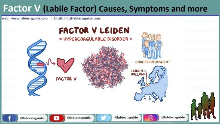 Factor V (Labile Factor) Causes, Symptoms and more - Lab Tests Guide