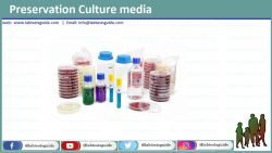 TB Culture Purpose, Types, Procedure, And More | Lab Tests Guide