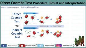Direct Coombs Test Procedure. Result and Interpretation - Lab Tests Guide