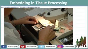 Tissue Processing: Types, Procedure, Factors And More | Lab Tests Guide