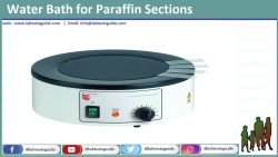 Tissue Processing: Types, Procedure, Factors and more - Lab Tests Guide