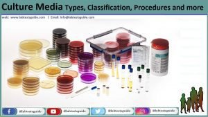 Culture Media Types, Classification, Procedures And More | Lab Tests Guide