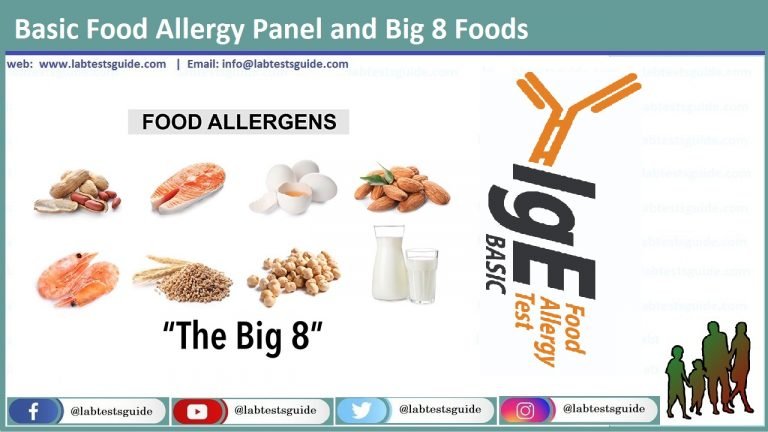 Basic Food Allergy Panel and Big 8 Foods | Lab Tests Guide