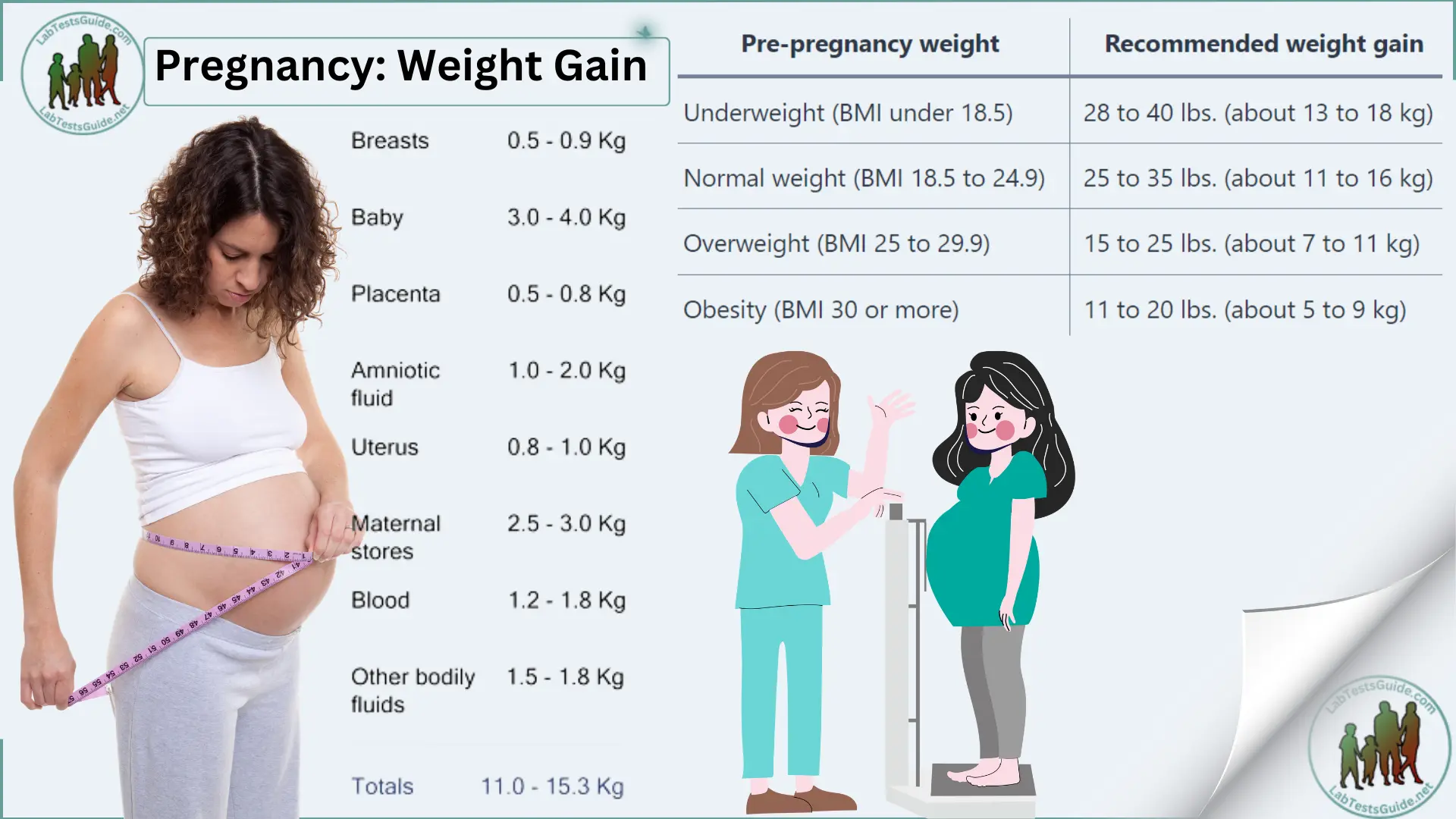 Gain Weight Pregnancy Chart