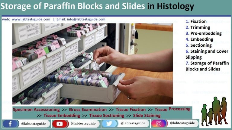 Histopathology test list Archives - Lab Tests Guide