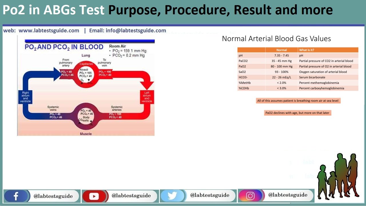 PO2 Test Purpose Procedure Result And More Lab Tests Guide