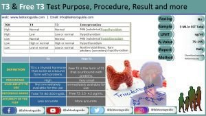 Free T3 Test Purpose, Procedure, Result and more | Lab Tests Guide