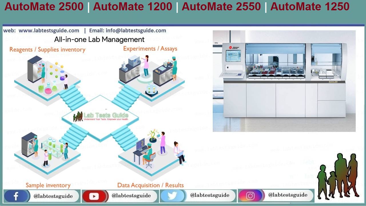 AutoMate 2500 Automation Systems | LTG