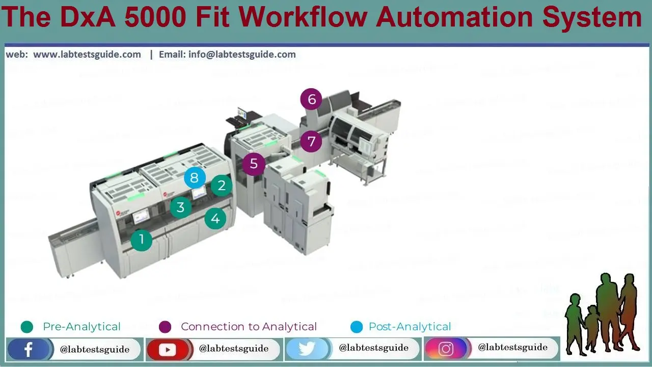 The DxA 5000 Fit Workflow Automation System | Lab Tests Guide