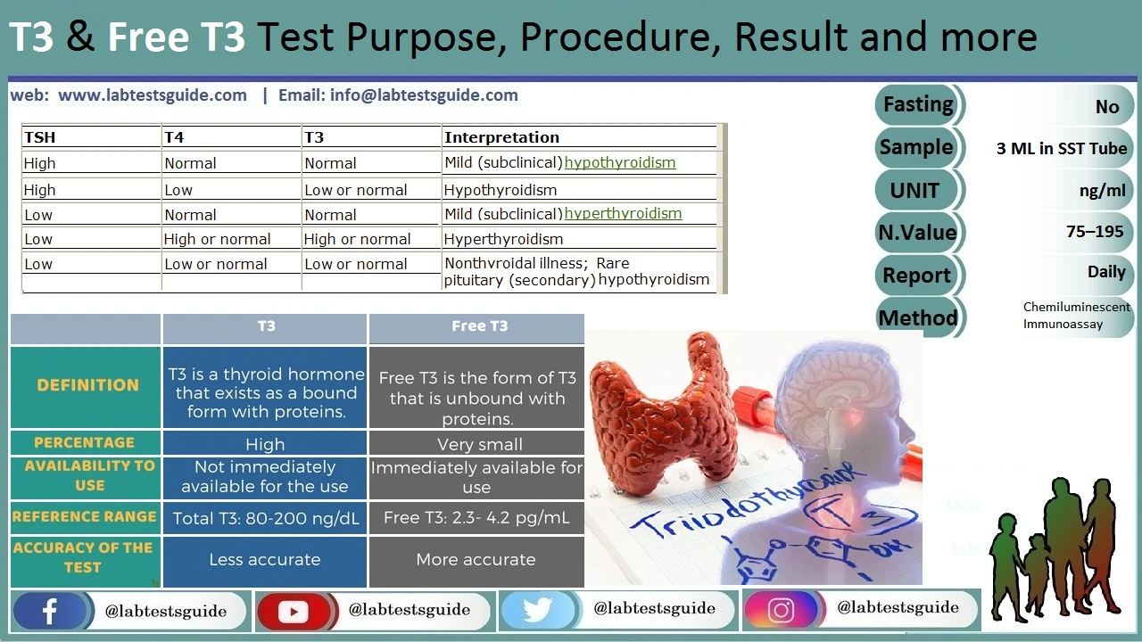 Total T3 | Lab Tests Guide