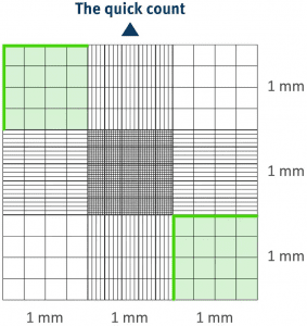 Hemocytometer Uses, Procedures, Calculations and more | LTG