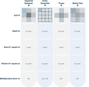 Neubauer Chamber Uses, Procedures, Calculations and more| LTG