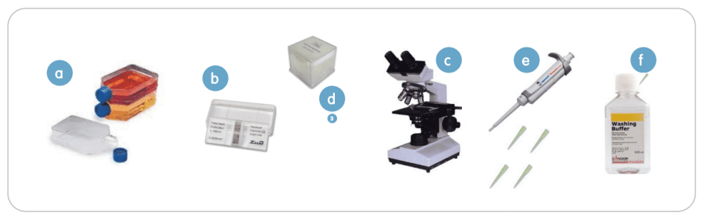 Neubauer Chamber Uses, Procedures, Calculations And More| LTG