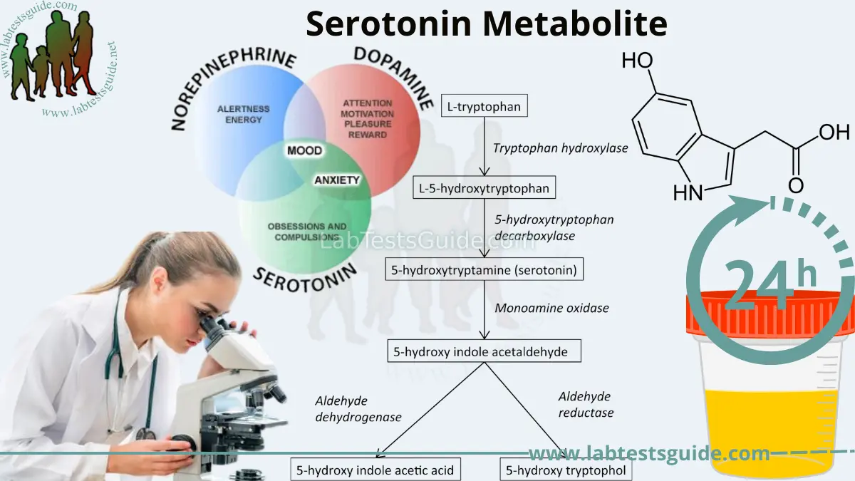 Serotonin Metabolite Test: Purpose, Procedure, and Results Interpretation