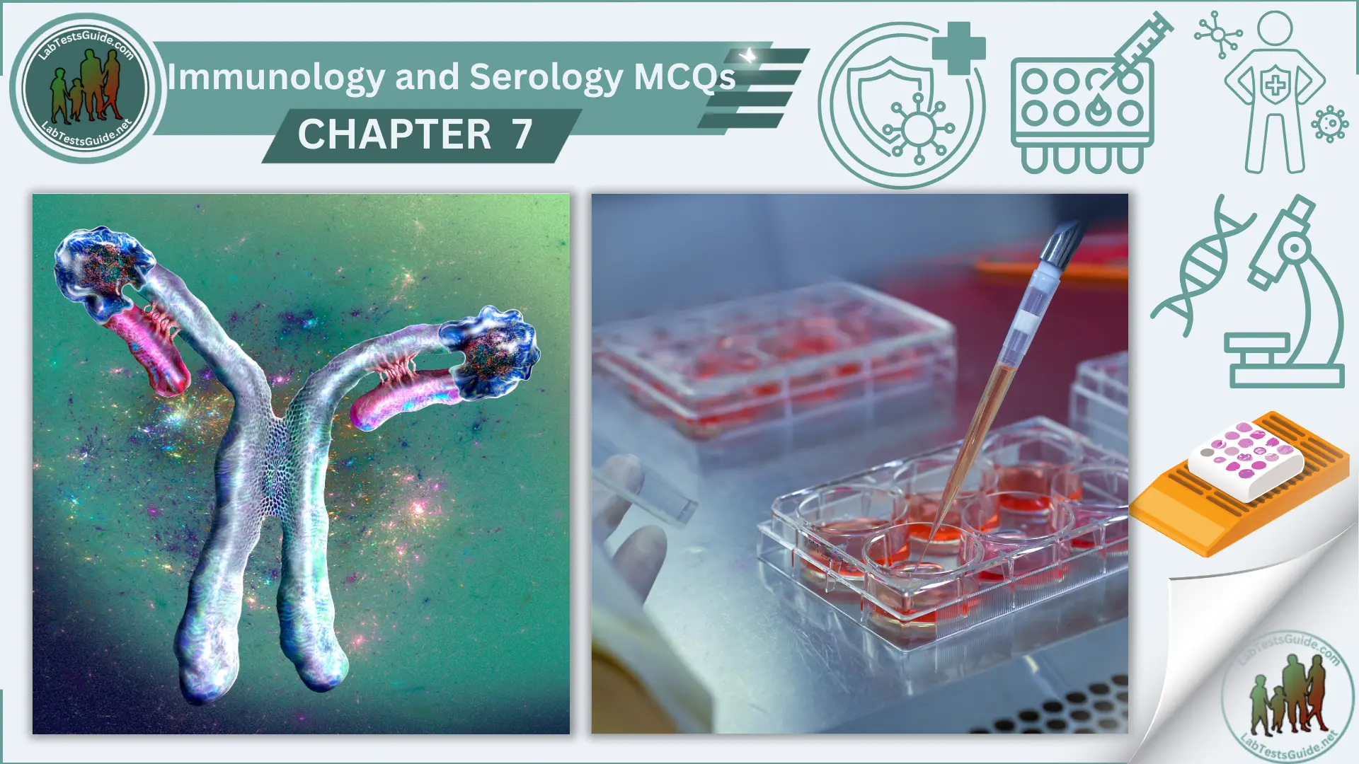Immunology and Serology MCQs with Answer and Explanations | Chapter 7 ...