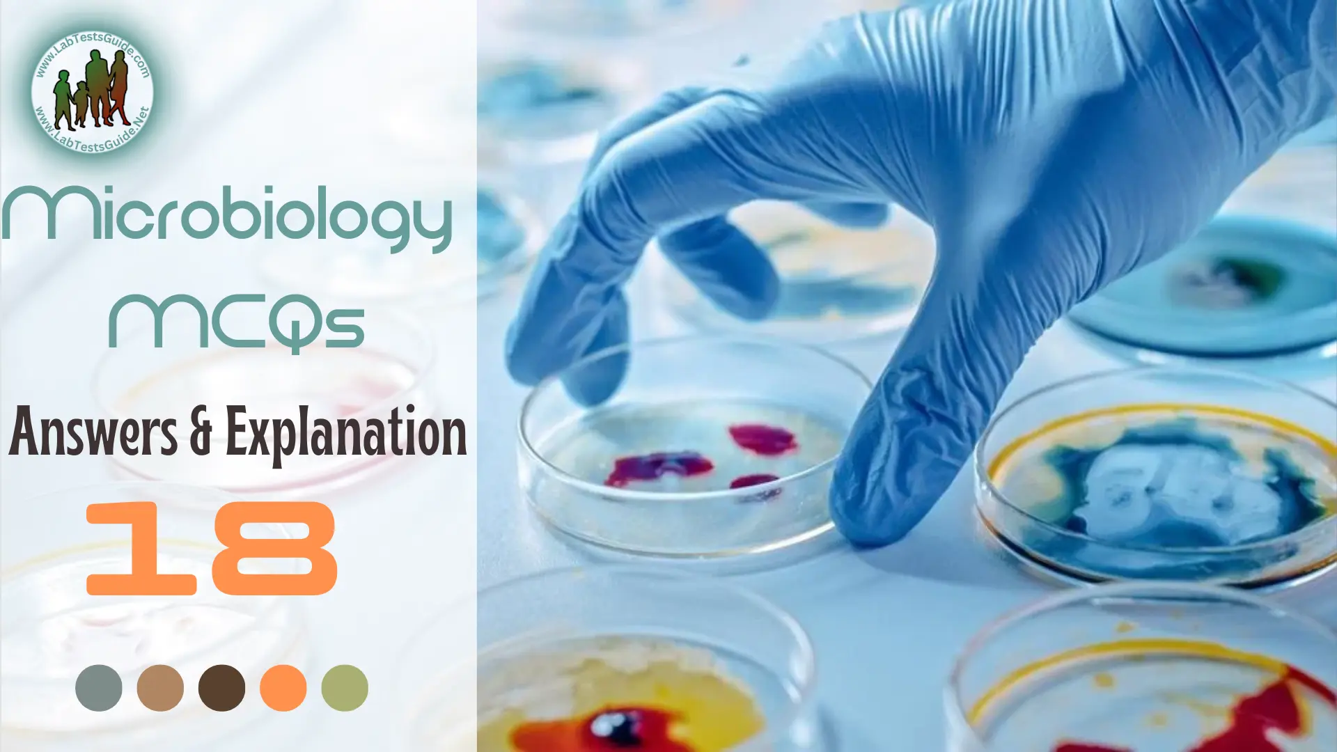 Microbiology MCQs Mock Test - Chapter 18 | Lab Tests Guide