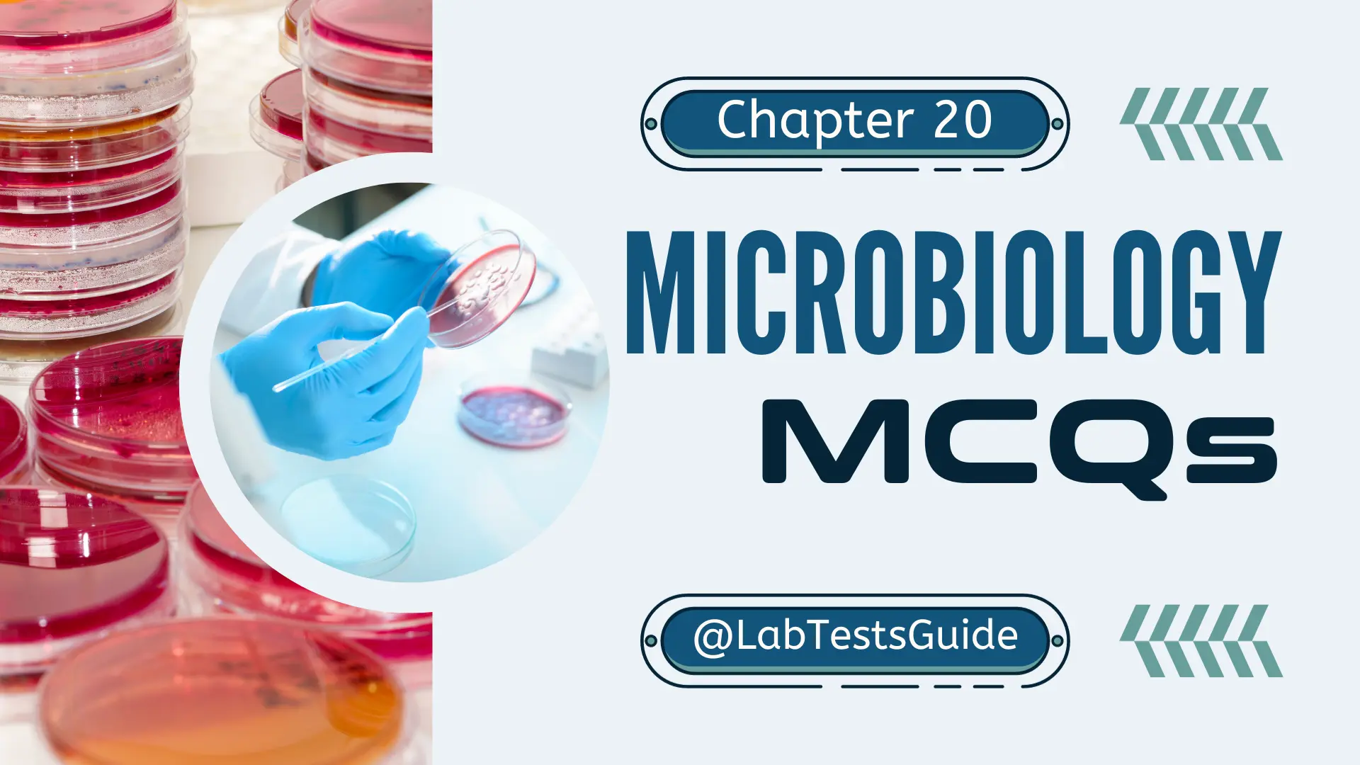 Microbiology MCQs Mock Test - Chapter 20 | Lab Tests Guide