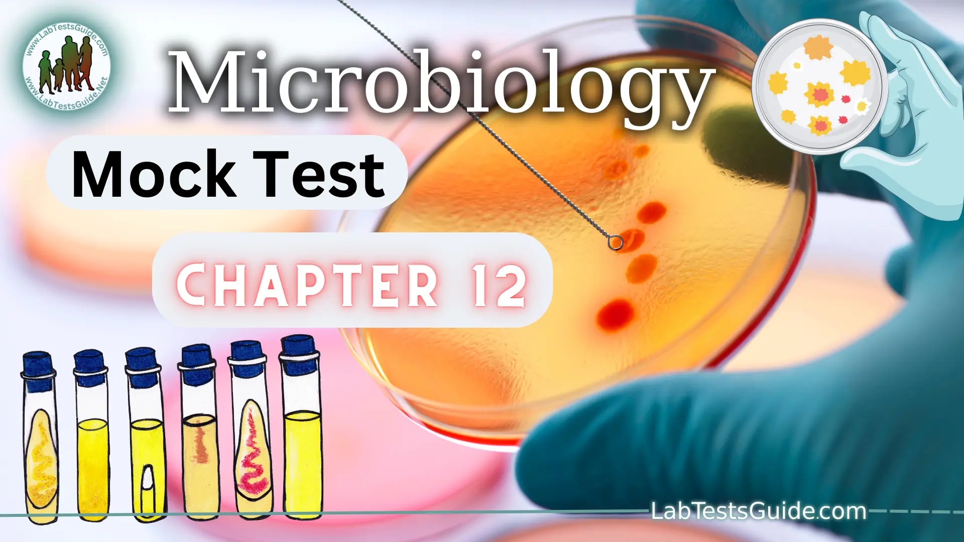 Microbiology MCQs Mock Test - Chapter 12 | Lab Tests Guide