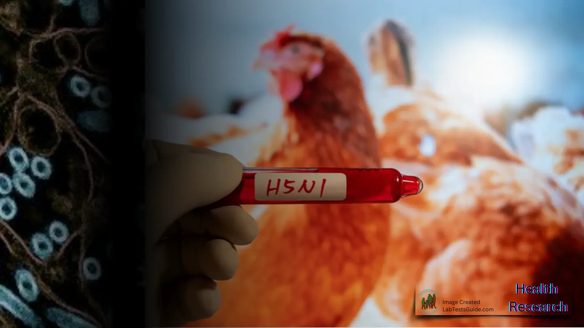 A Single Mutation Away: Bird Flu’s Pandemic Potential Raises Alarm ...