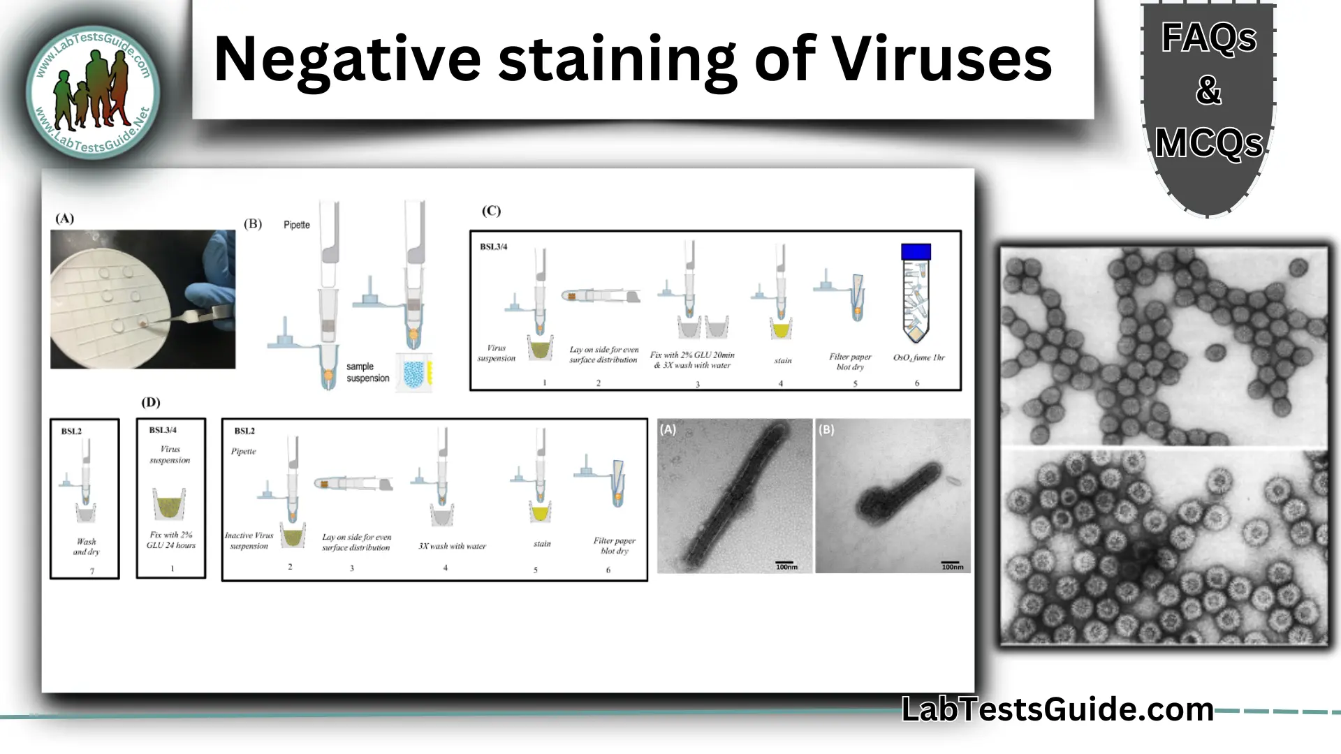 5000 Plus Microbiology MCQs with Answers and Explanation