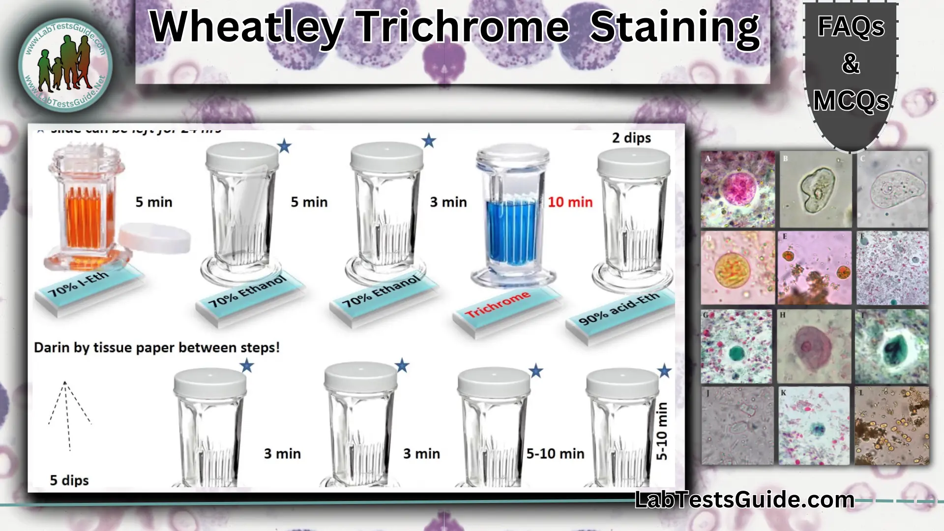 Wheatley Trichrome Staining 50 FAQs and 30 MCQs