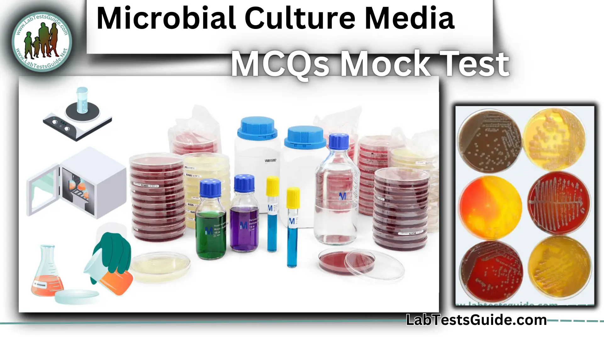 Microbial Culture Media MCQs 30 Mock Test | Lab Tests Guide