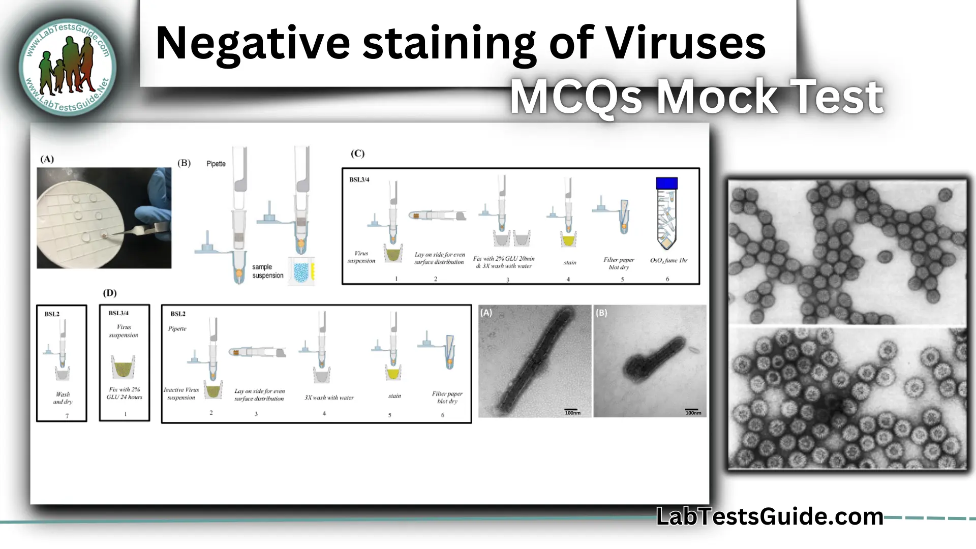 Negative staining of Viruses MCQs Mock Test (30 MCQs) | Lab Tests Guide