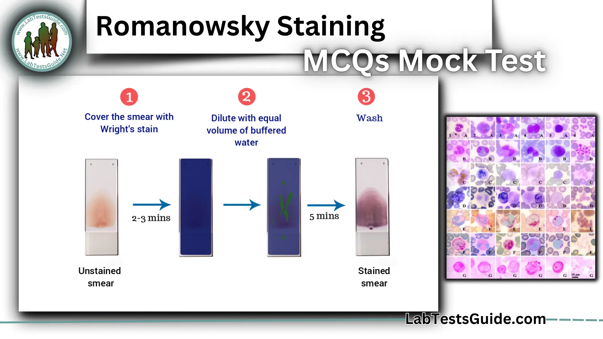 Romanowsky Staining MCQs Mock Test (30 MCQs) | Lab Tests Guide