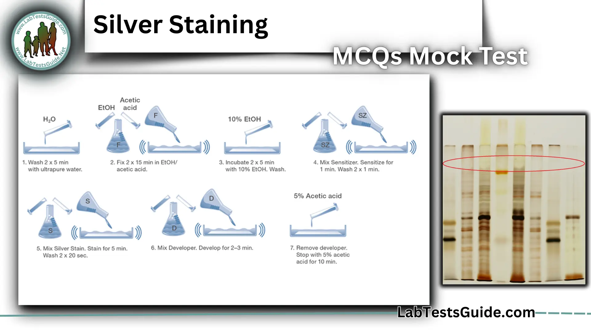 Silver Staining MCQs Mock Test (30 MCQs) | Lab Tests Guide