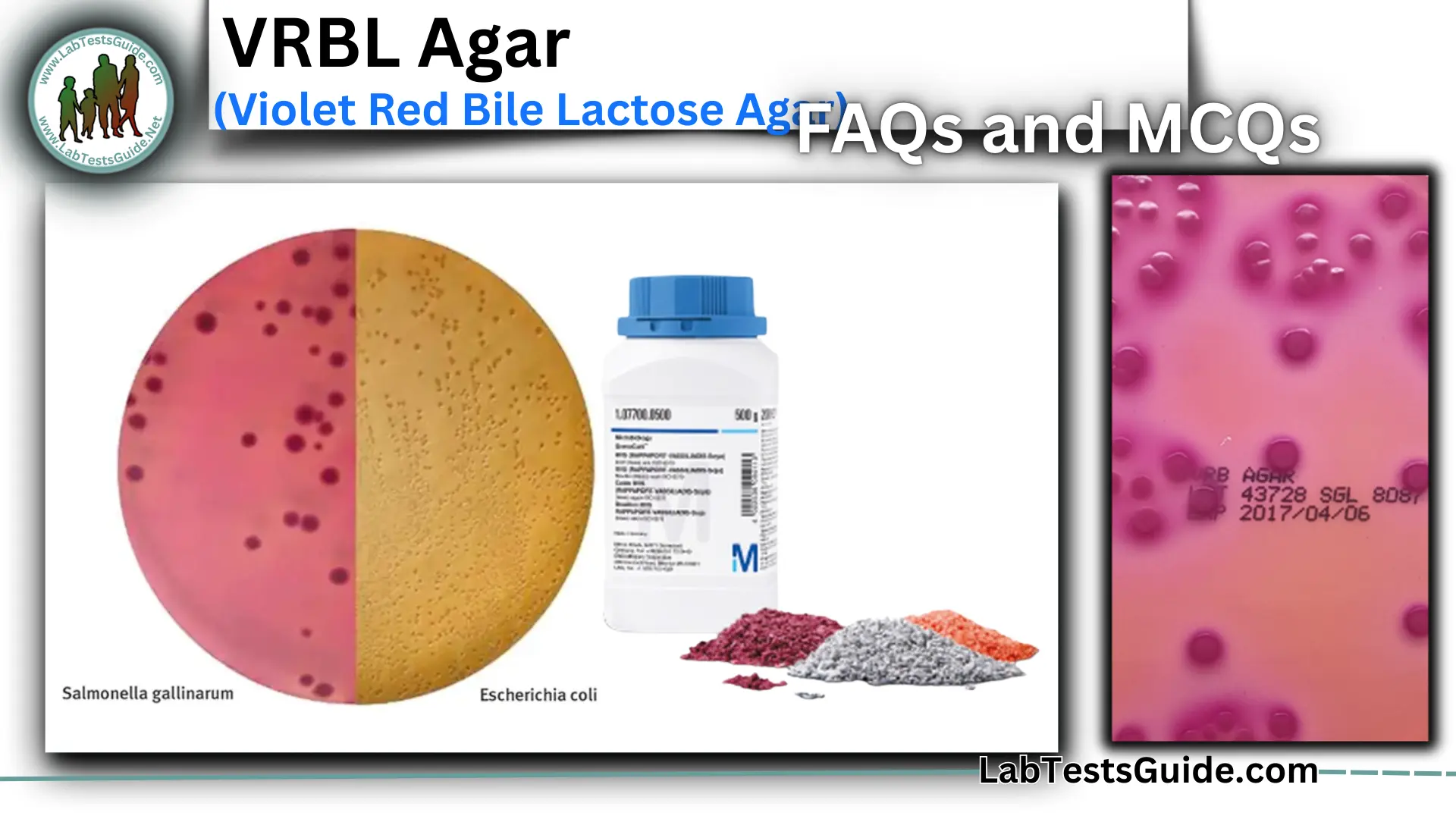 VRBL Agar (Violet Red Bile Lactose Agar) 50 FAQs and 30 MCQs | Lab ...