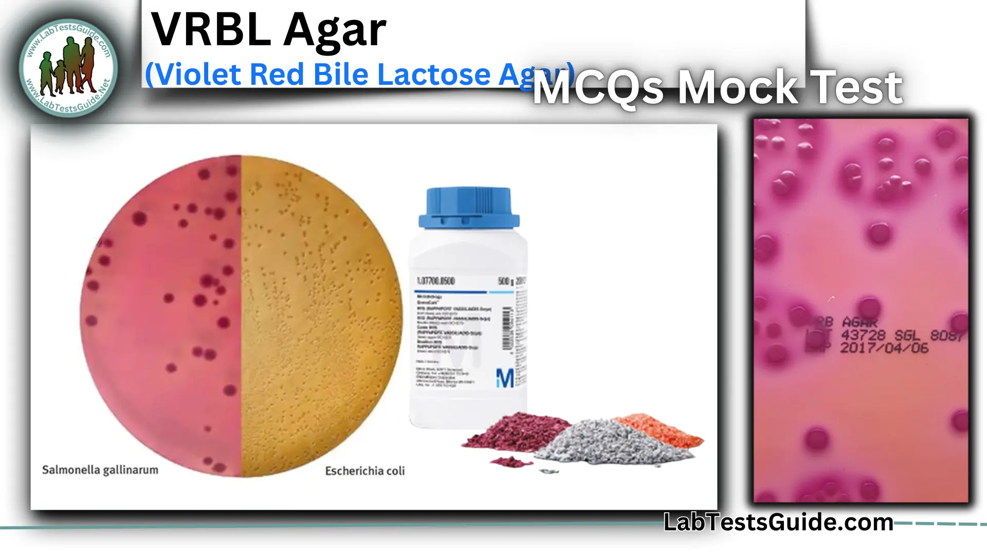 VRBL Agar (Violet Red Bile Lactose Agar) MCQs Mock Test | Lab Tests Guide
