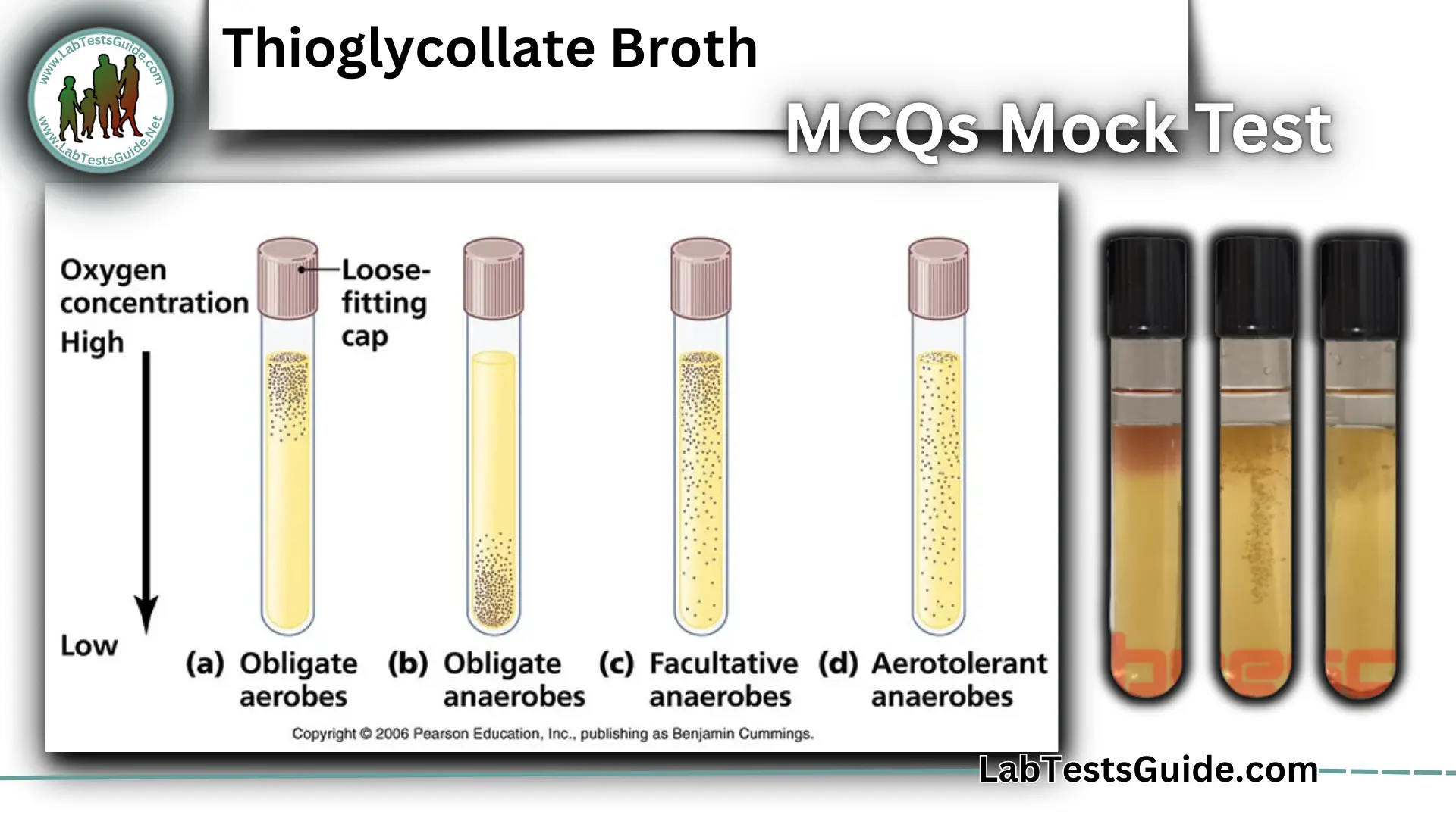 Thioglycollate Broth MCQs Mock Test | Lab Tests Guide