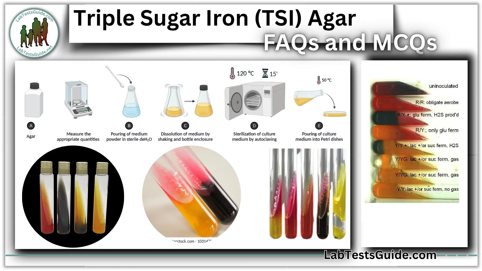 Triple Sugar Iron (TSI) Agar FAQs and MCQs | Lab Tests Guide