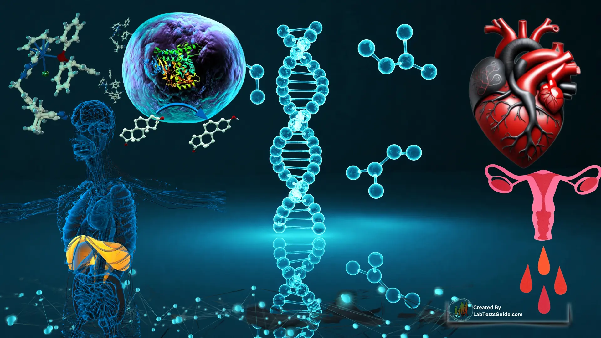 Translating Science into Vision: The Role of Scientific Illustrations ...