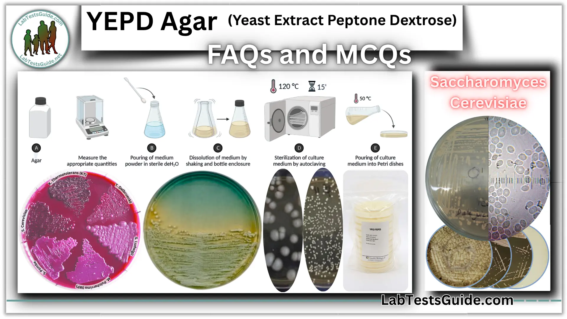 YEPD Agar (Yeast Extract Peptone Dextrose) 50 FAQs and 30 MCQs | Lab ...