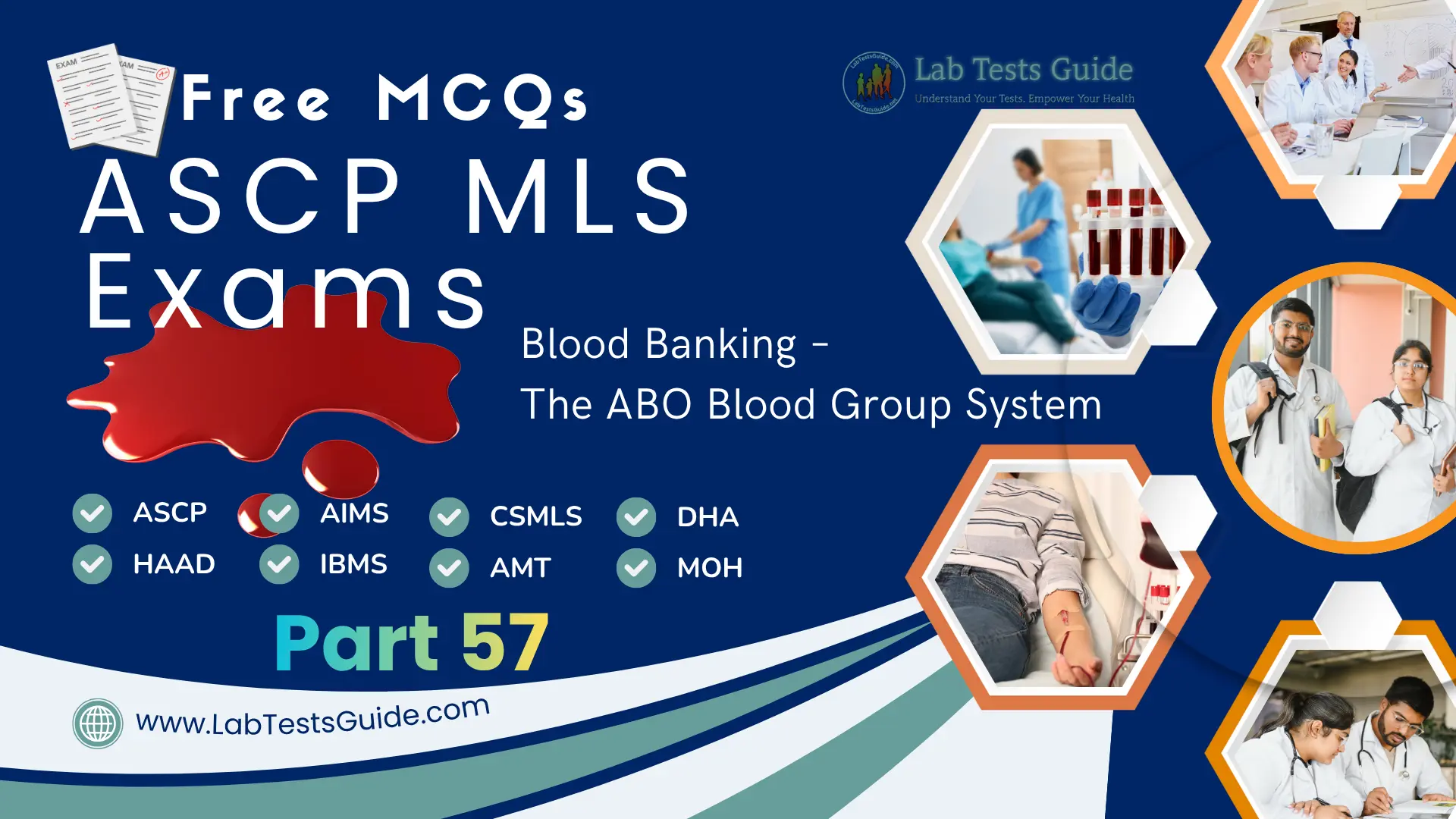 Free ASCP MLS Exam Practice Questions: Part 57 – Blood Banking – The ABO Blood Group System ...