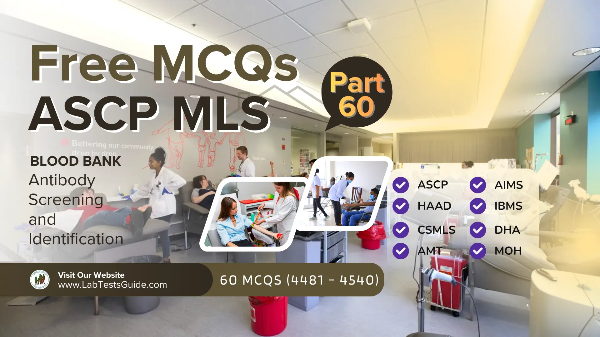 Free ASCP MLS Exam MCQs with Questions, Answer Key, and Mock Test | Lab ...